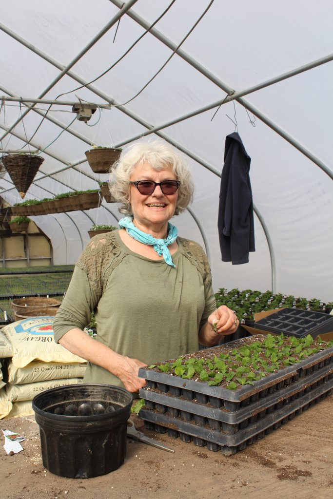 Farmstand – Harlow Farm