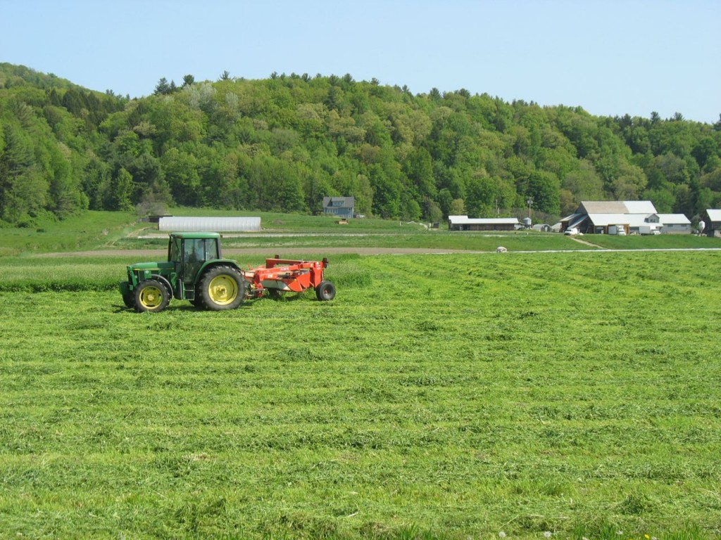 Haying Time – Harlow Farm