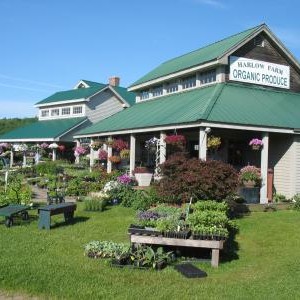 Harlow Farm – An organic farm nestled along the shores of the ...
