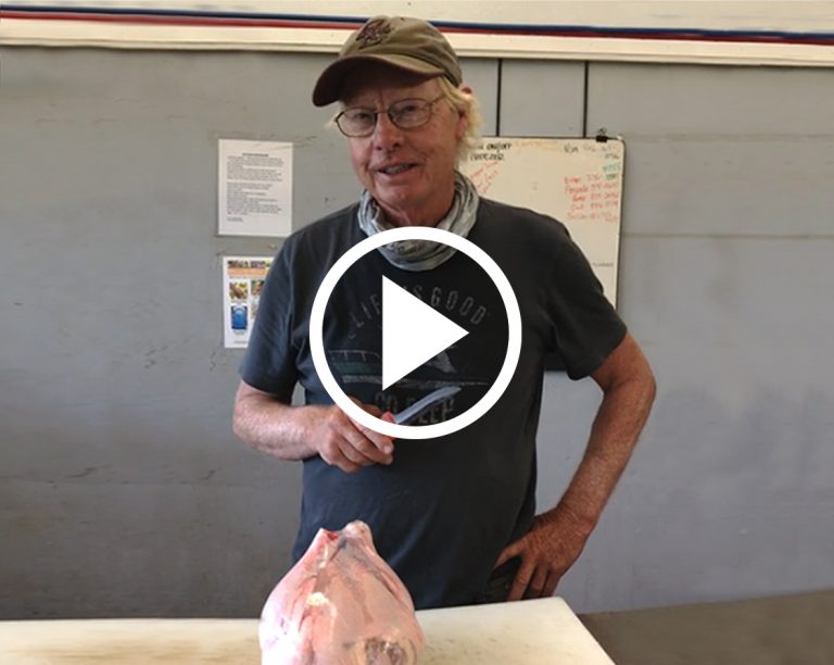 Cutting up a Chicken: It’s Easy – Harlow Farm